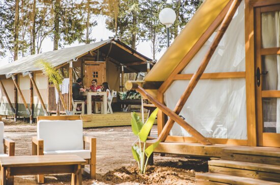 Best Places to Go Camping in Chicago – Camping Is Easy